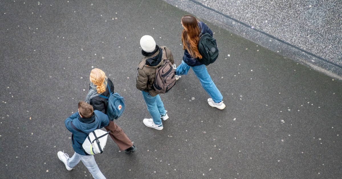 Alle podwalks - Podwalks